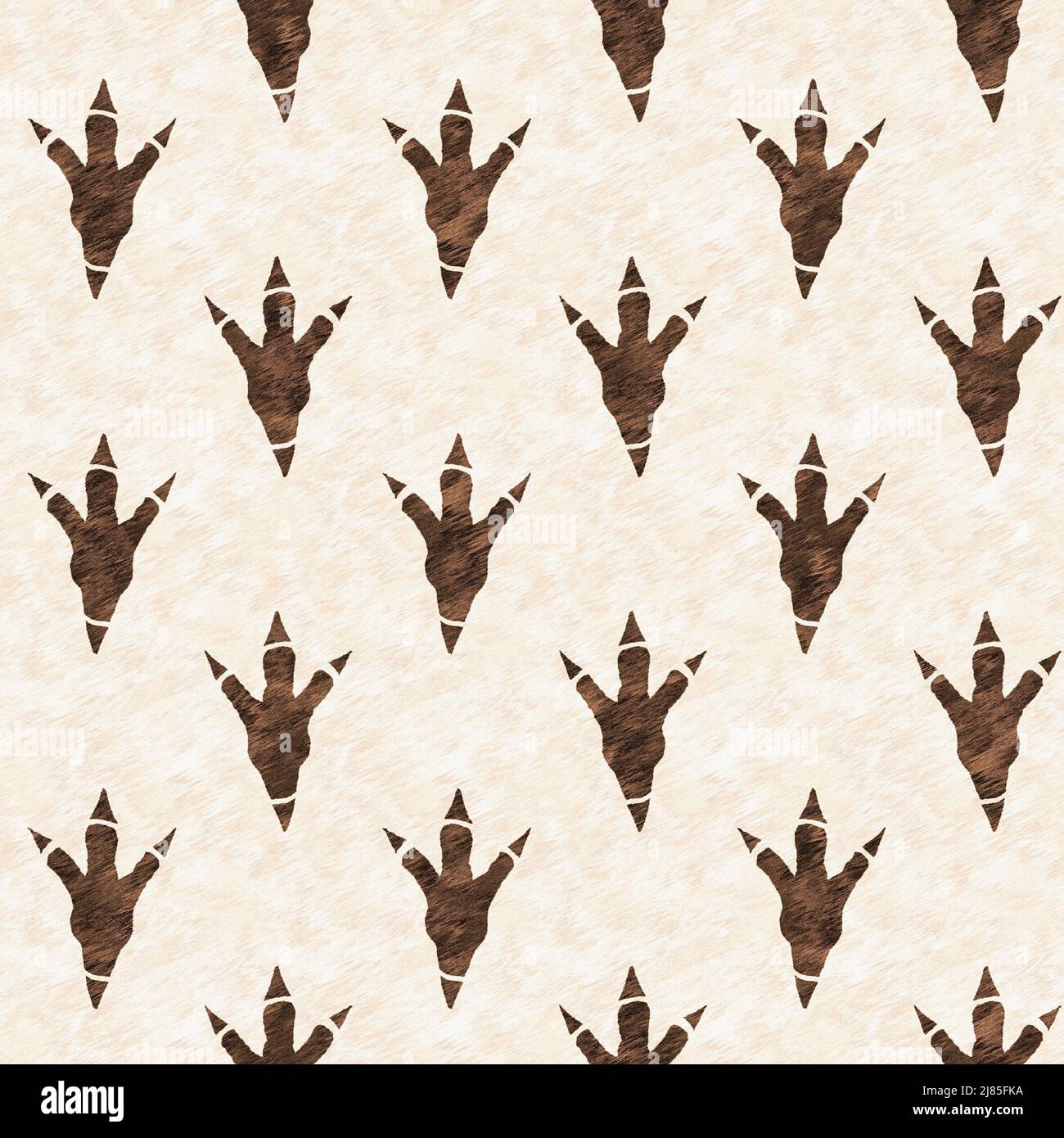 Bird skeleton foot hi-res stock photography and images - Alamy