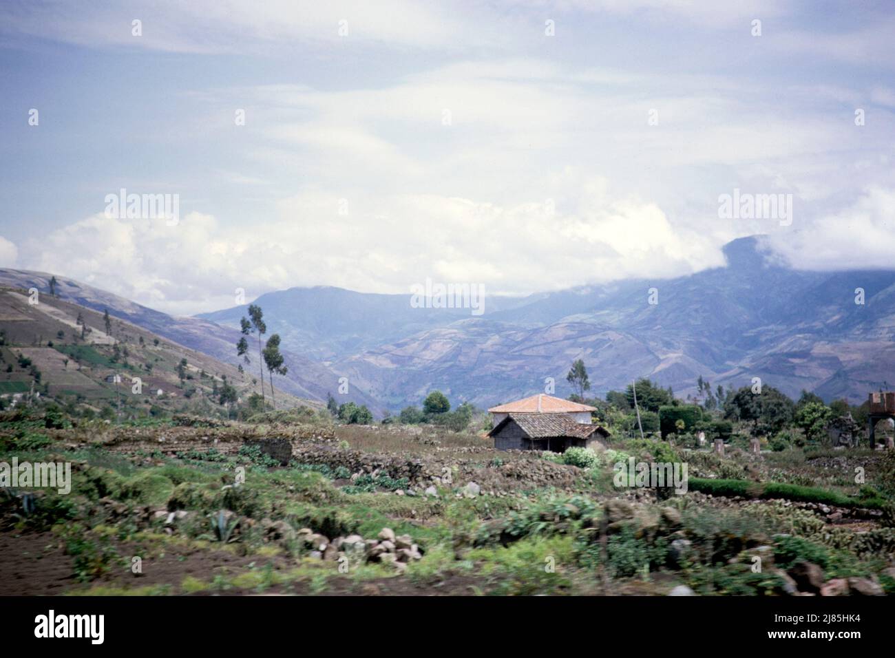 Intensive farming cultivation of fertile volcanic soil between Ambato ...