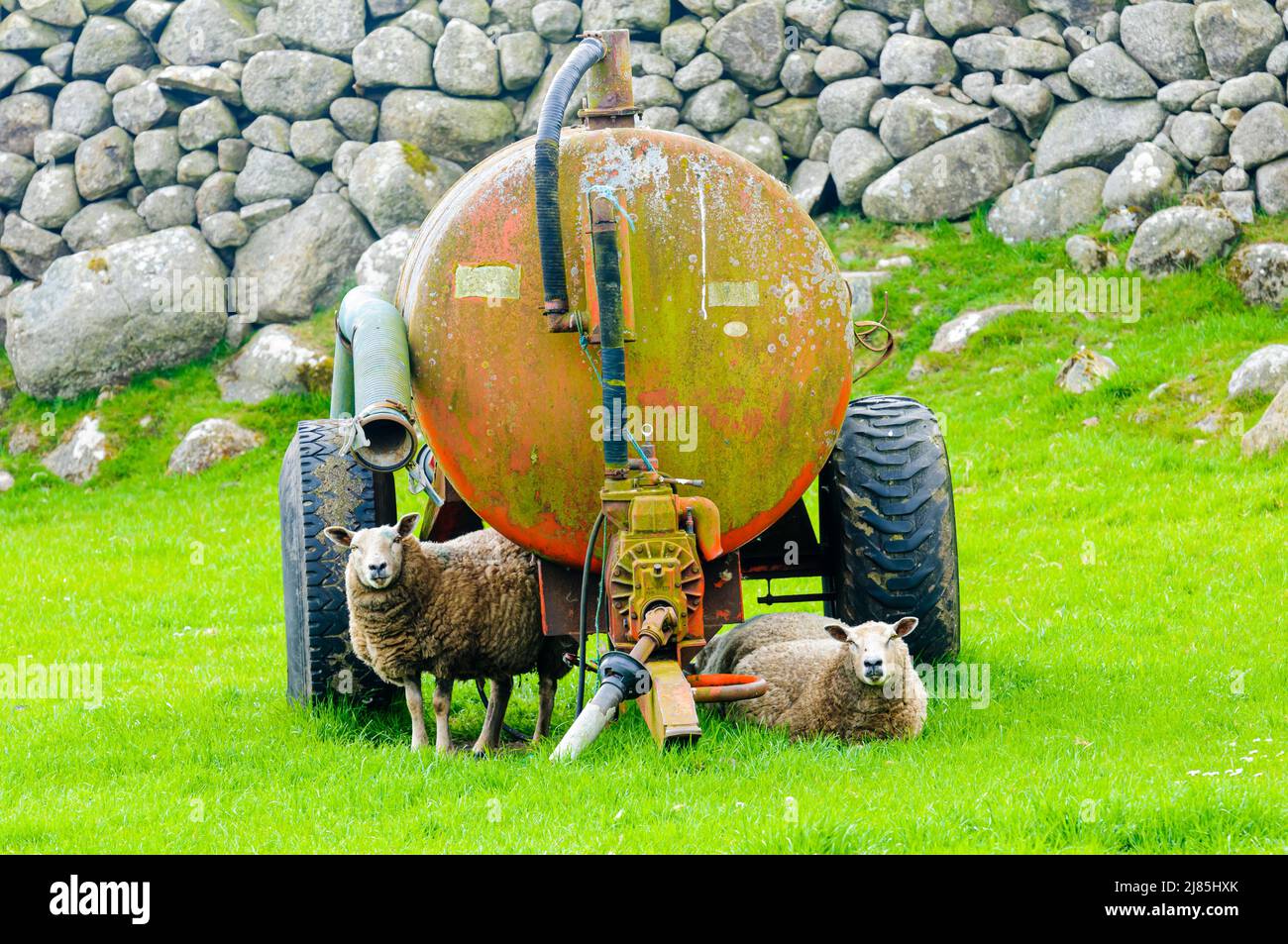Slurry tank hi-res stock photography and images - Alamy