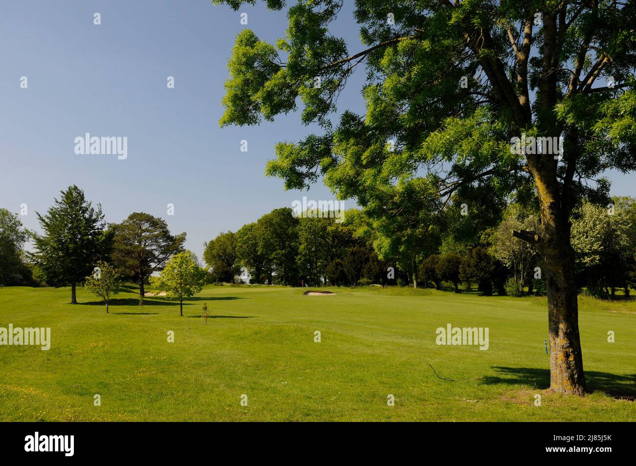 View of the 8th Green from under a tree, Croham Hurst Golf Club ...