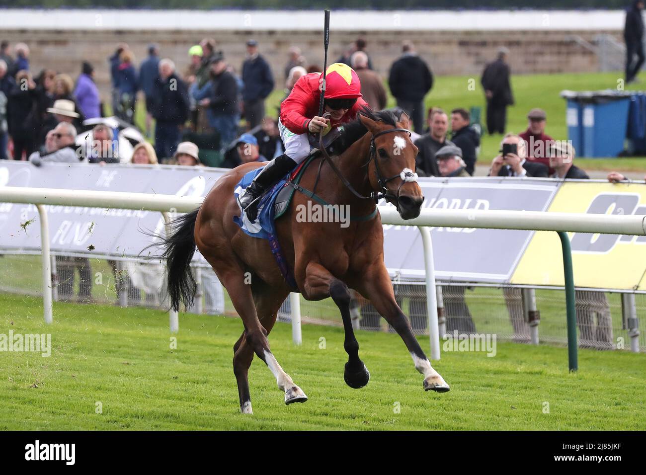 Highfield princess york hi-res stock photography and images - Alamy