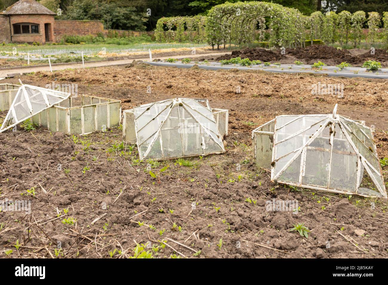 Glass garden cloche hi-res stock photography and images - Alamy