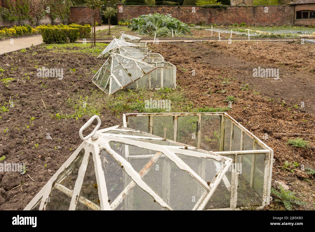 Glass garden cloche hi-res stock photography and images - Alamy