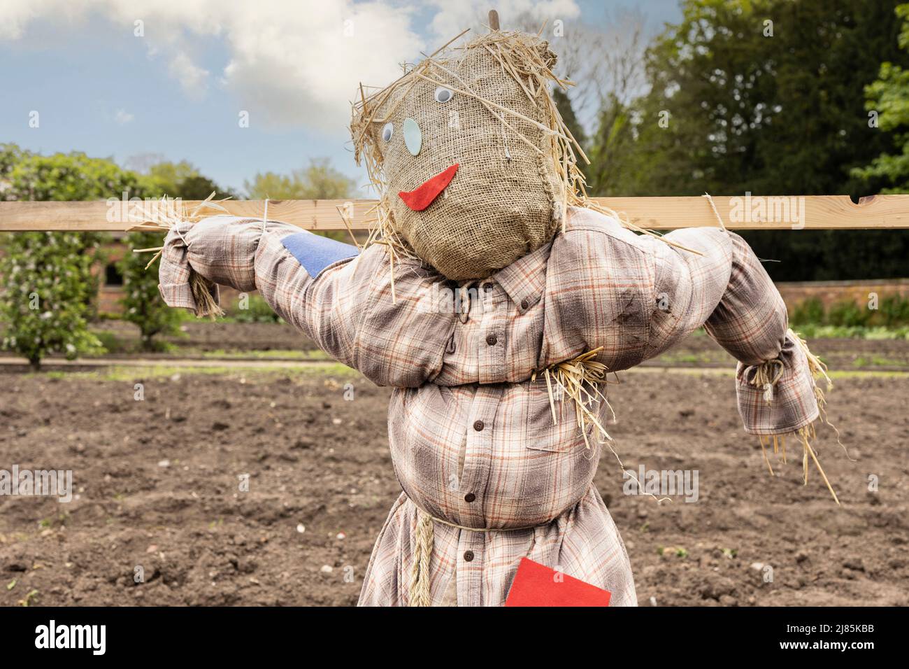 friendly scarecrow in a vegetable garden Stock Photo - Alamy