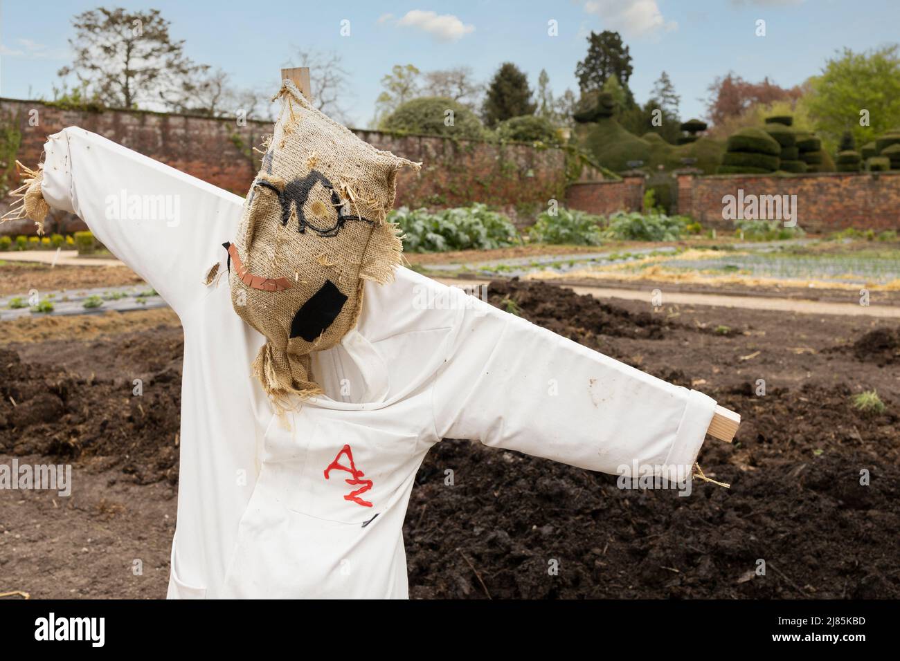 friendly scarecrow in a vegetable garden Stock Photo - Alamy