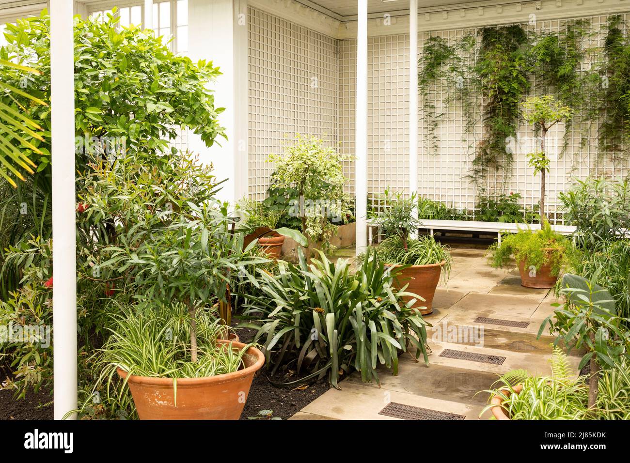 Indoor botanical garden hi-res stock photography and images - Alamy