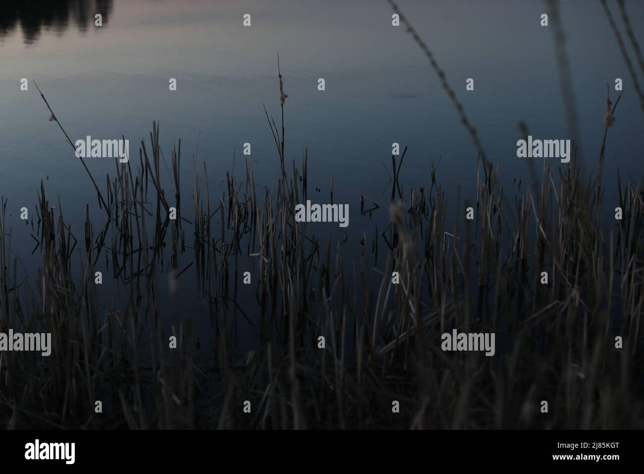 Blue river or lake water surface, nature background Stock Photo - Alamy