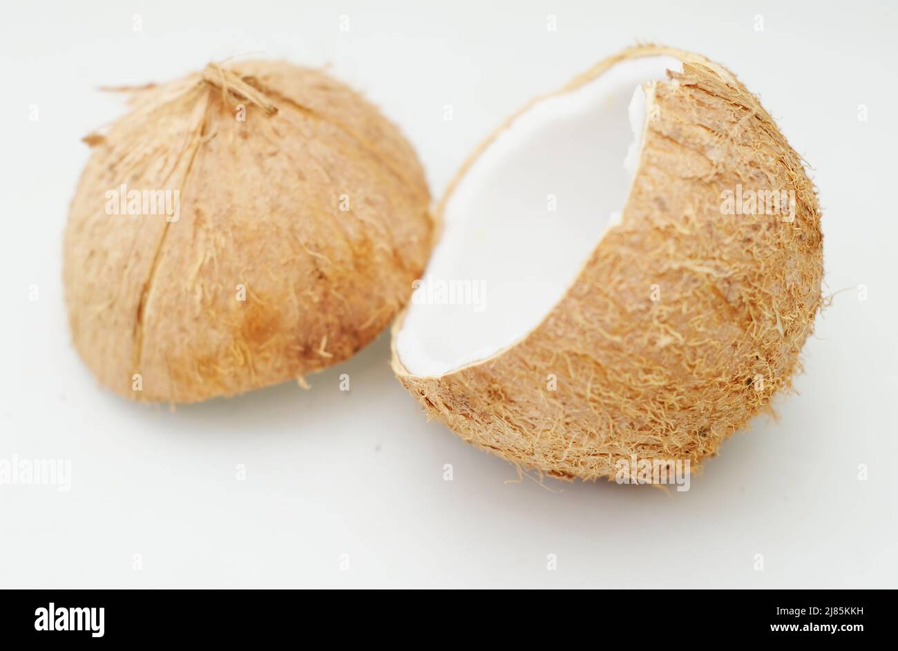 Coconut Fruit - Coconut isolated on white background. Coconuts fruit ...