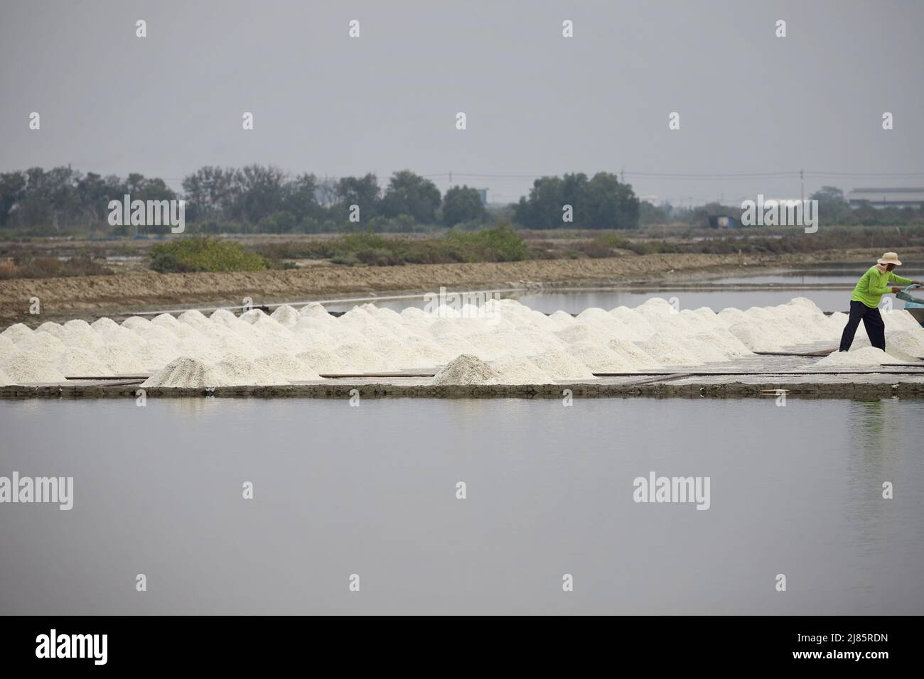 Harvesting sea salt hi-res stock photography and images - Alamy