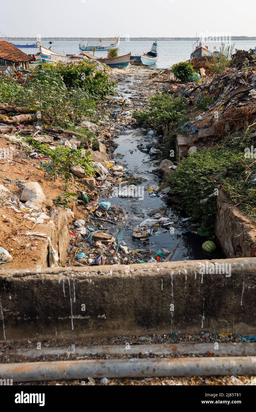 Extremely polluted stream flowing in the seaTangassery, Thangassery ...