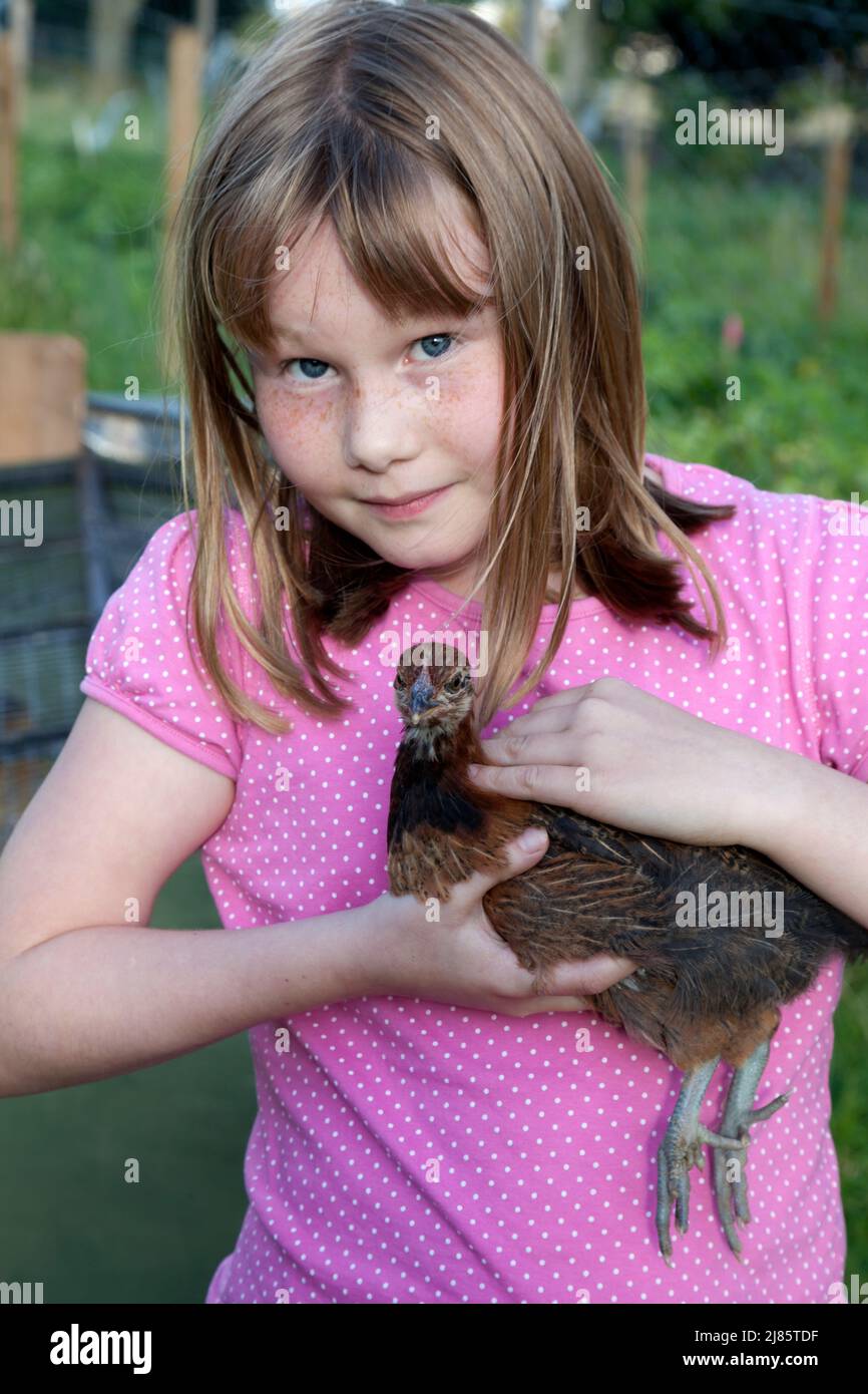 Young girl with a chicken Stock Photo - Alamy