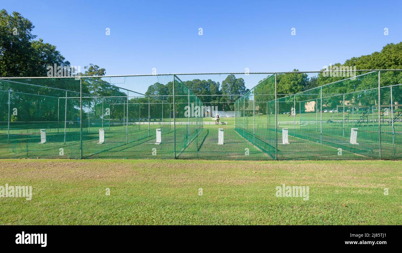 Cricket practice six batting wickets grass pitch netts close-up outdoor ...