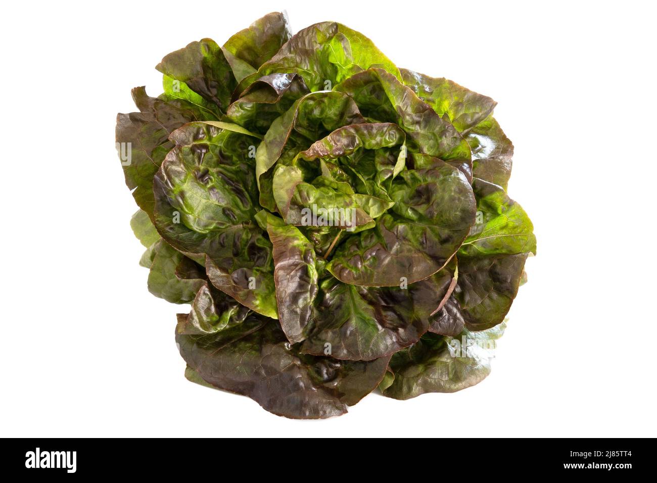 salad isolated on a white background Stock Photo - Alamy
