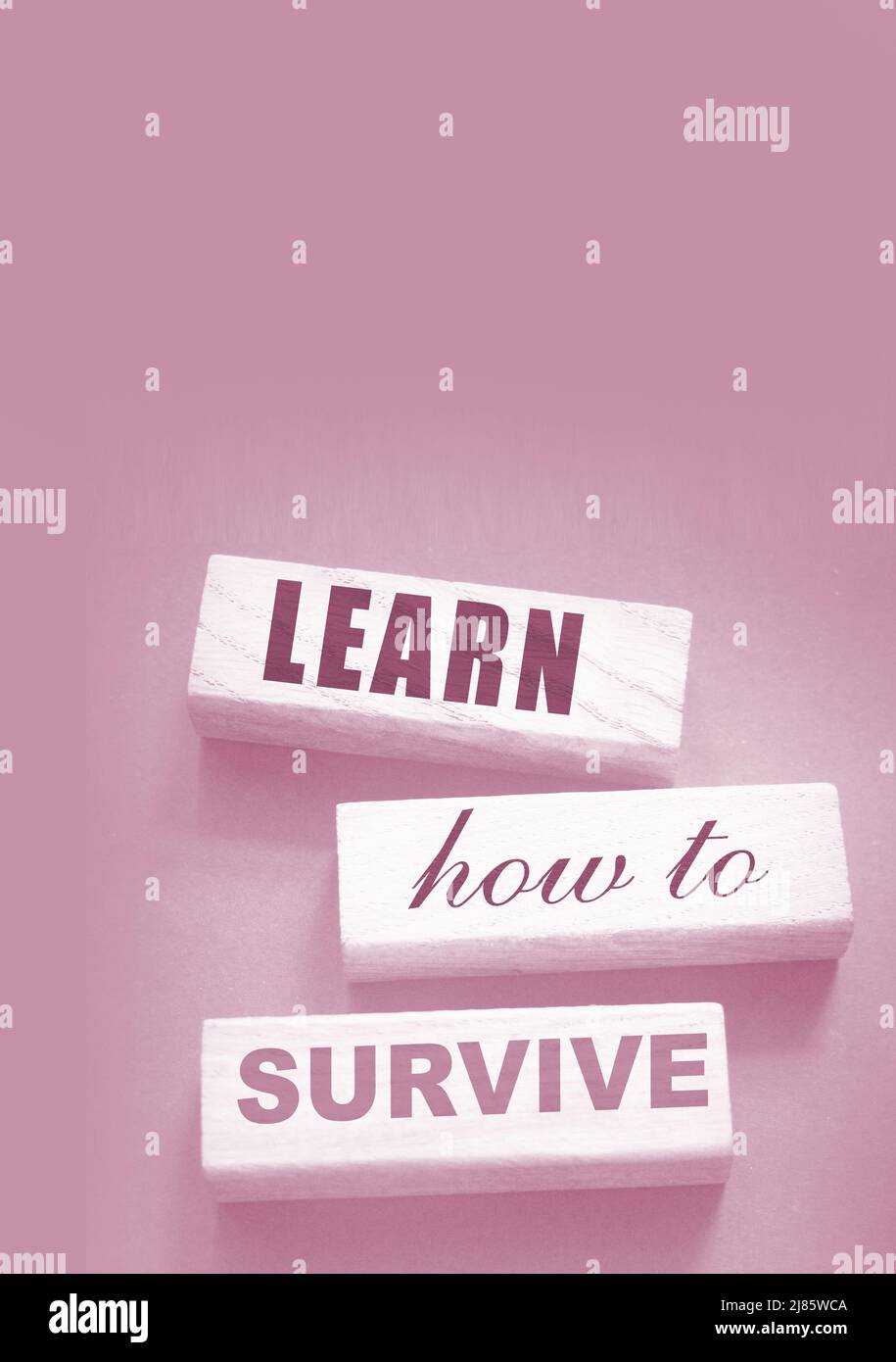 Text on wooden blocks Learn How to Survive. Surviving in crisis times ...