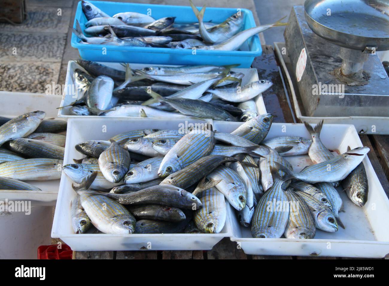 Fresh fish sold in a harbor in Bari, Italy Stock Photo - Alamy