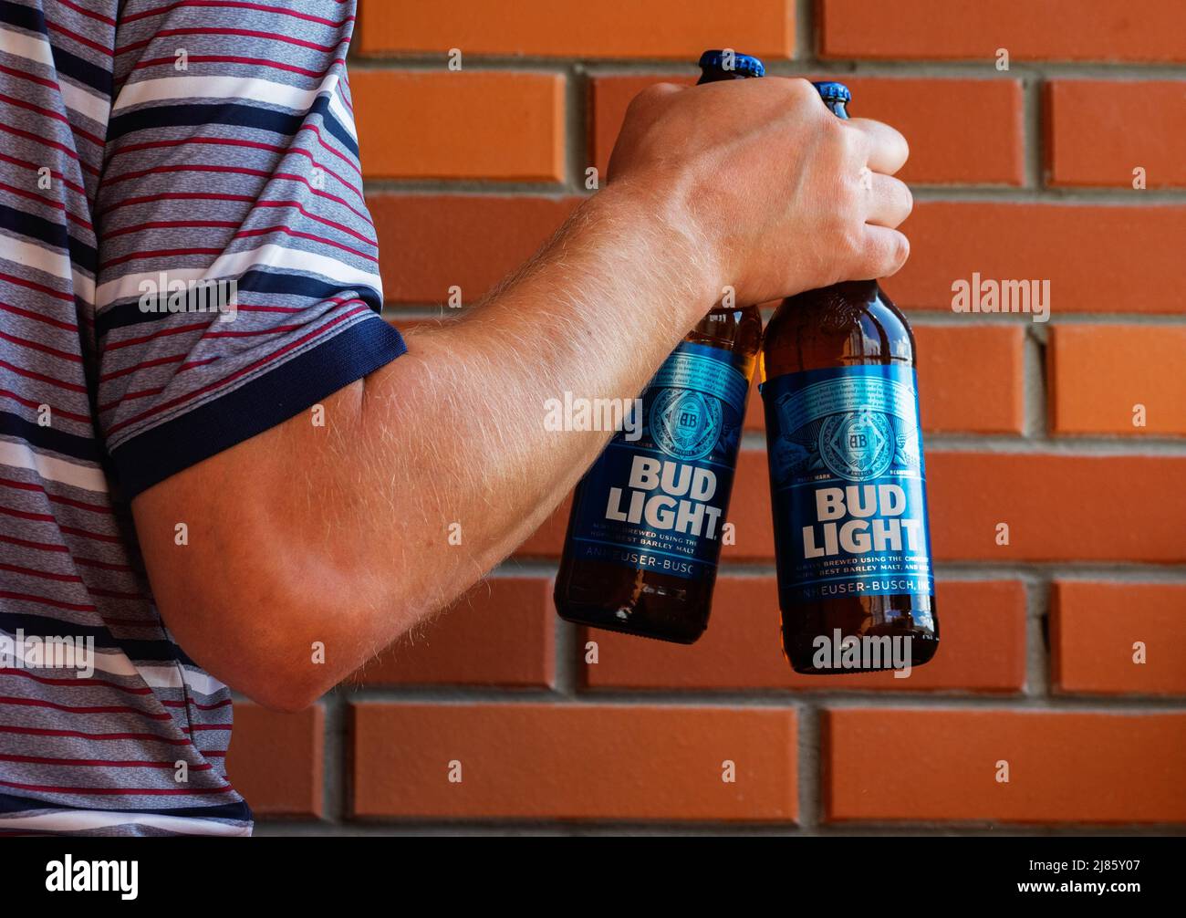 In this photo illustration, a man holds Bud Light beer bottles Stock ...