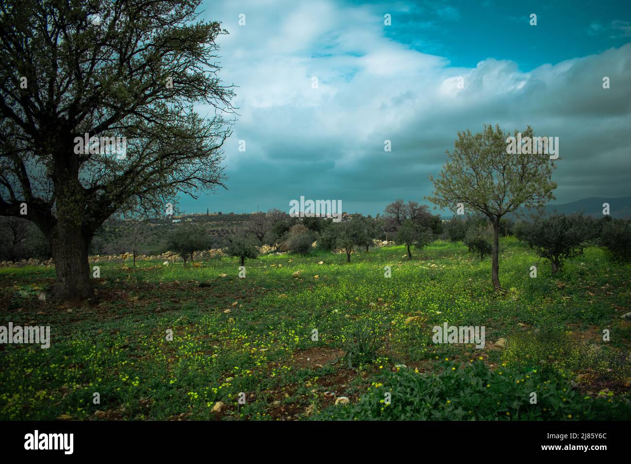 Jordan green hi-res stock photography and images - Alamy