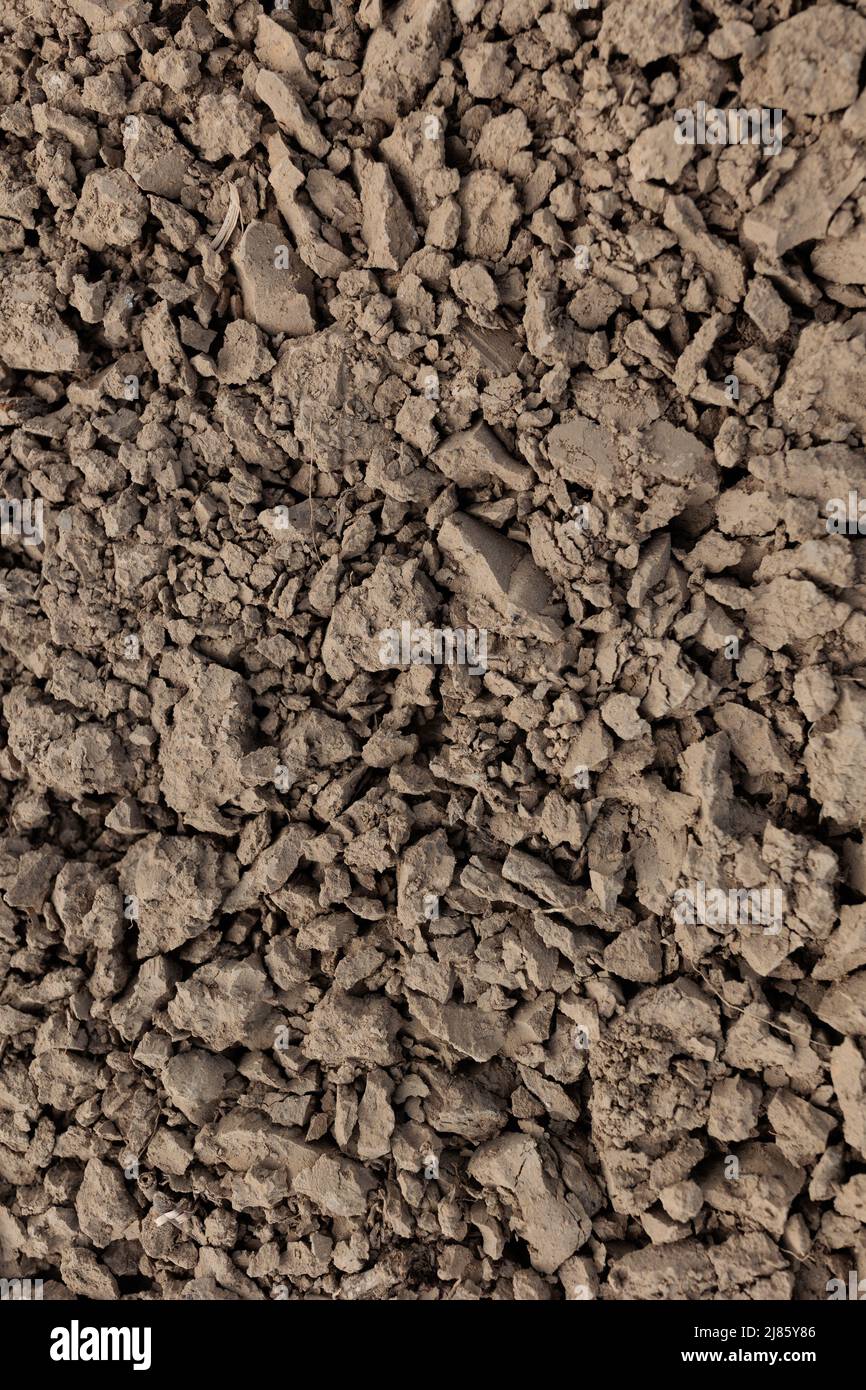 Brown Cracked ground,Cray Soil,Mud Crack.Cracks on the surface of the ...