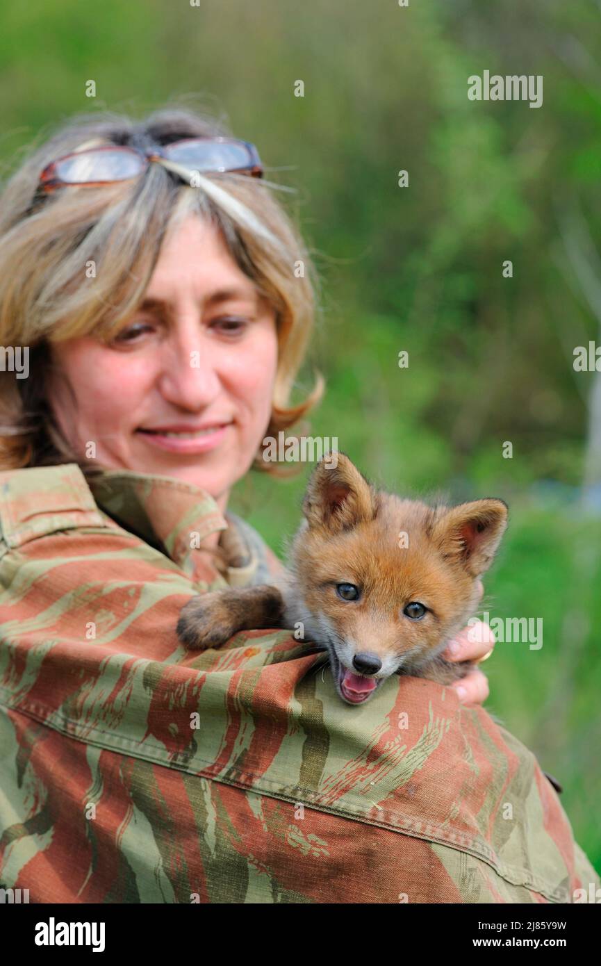 Young woman carrying a red fox France Stock Photo - Alamy