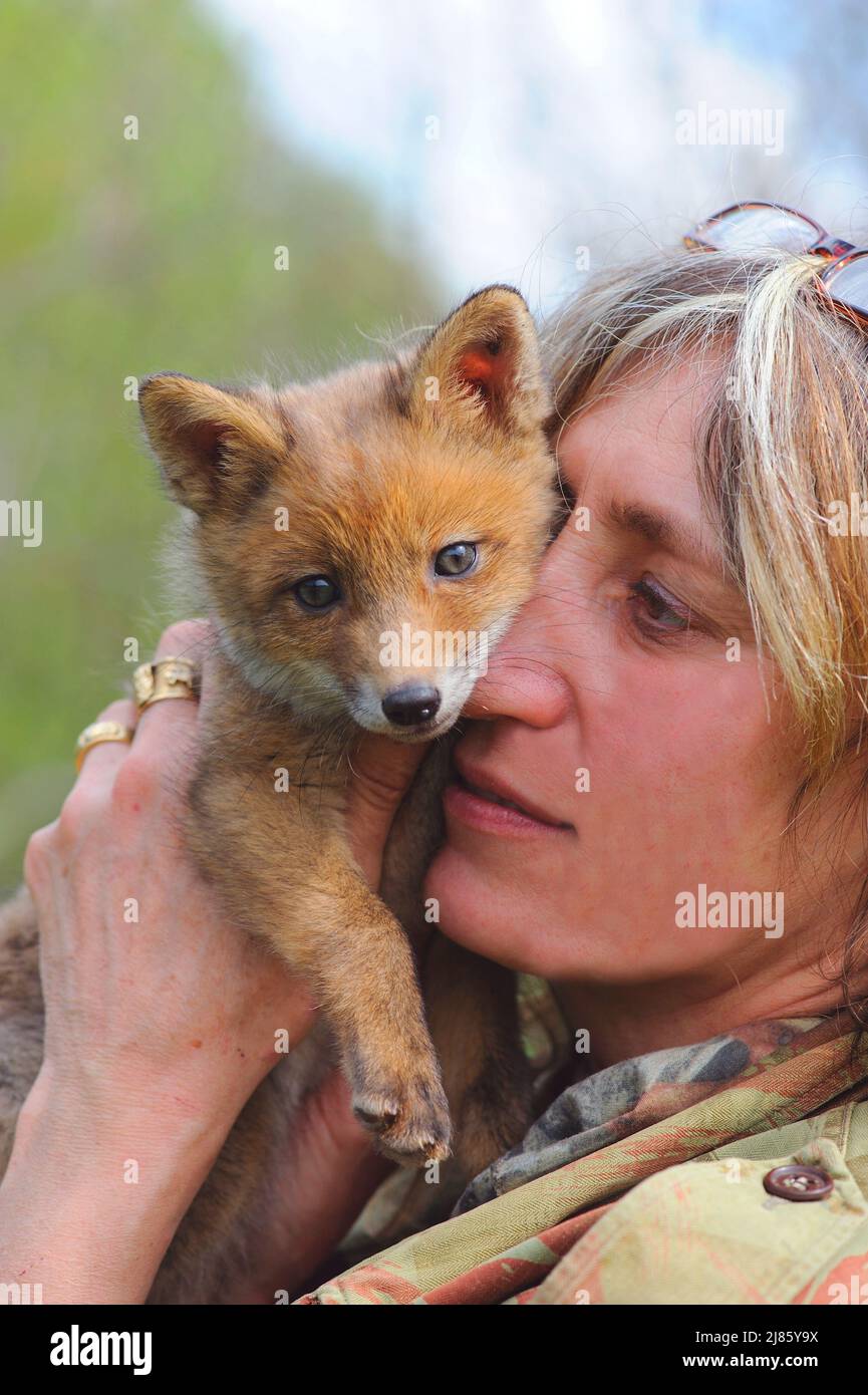 Young woman carrying a red fox France Stock Photo - Alamy