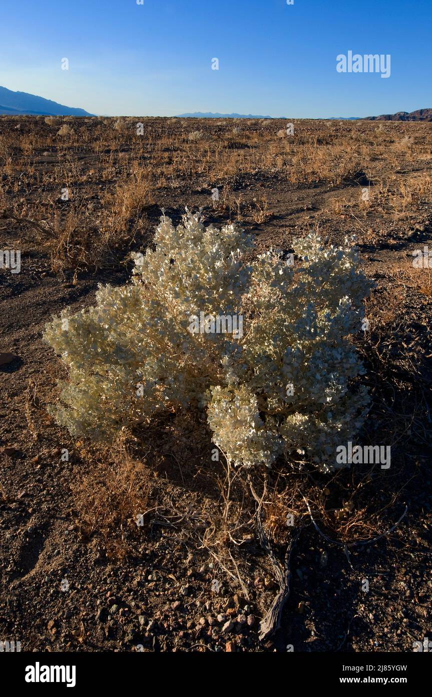 Monument valley usa family hi-res stock photography and images - Alamy