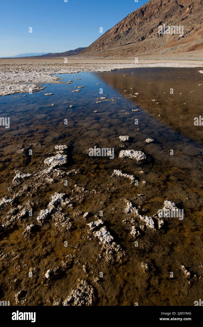 Spring-fed pool of Bad Water in a sink Death Valley NP Stock Photo - Alamy