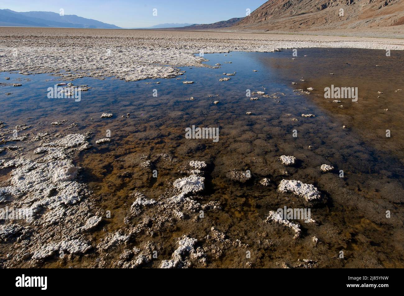 Spring-fed pool of Bad Water in a sink Death Valley NP Stock Photo - Alamy