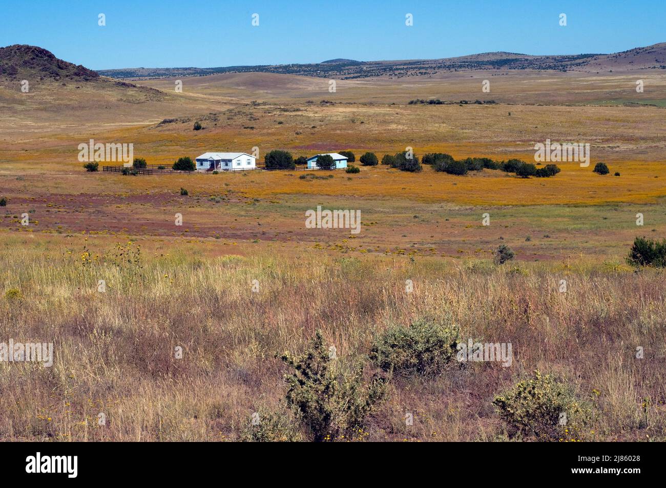 Ranch in Grande Prairie Arizona USA Stock Photo - Alamy