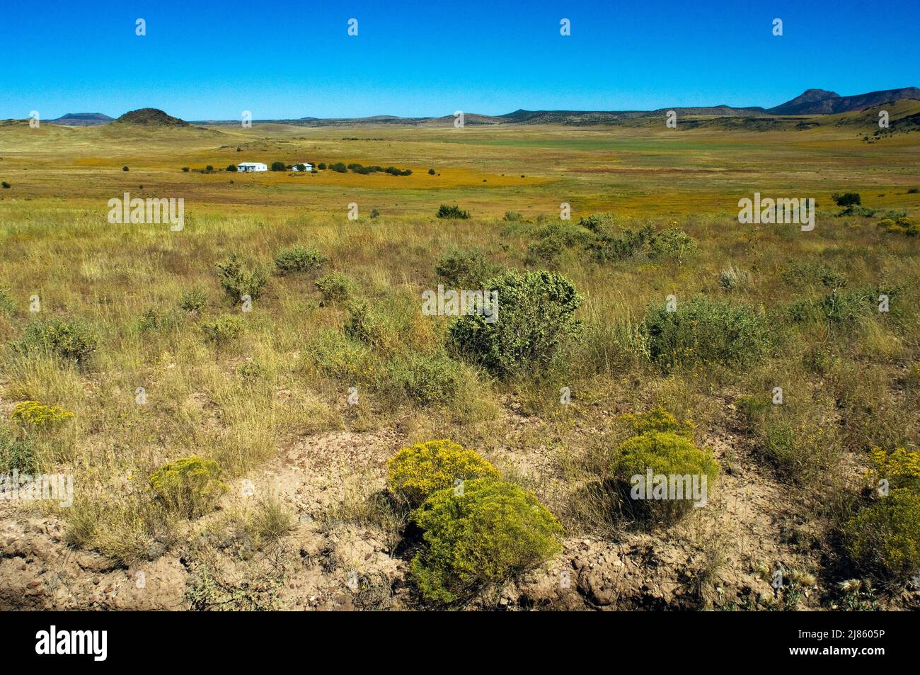 Ranch in Grande Prairie Arizona USA Stock Photo - Alamy