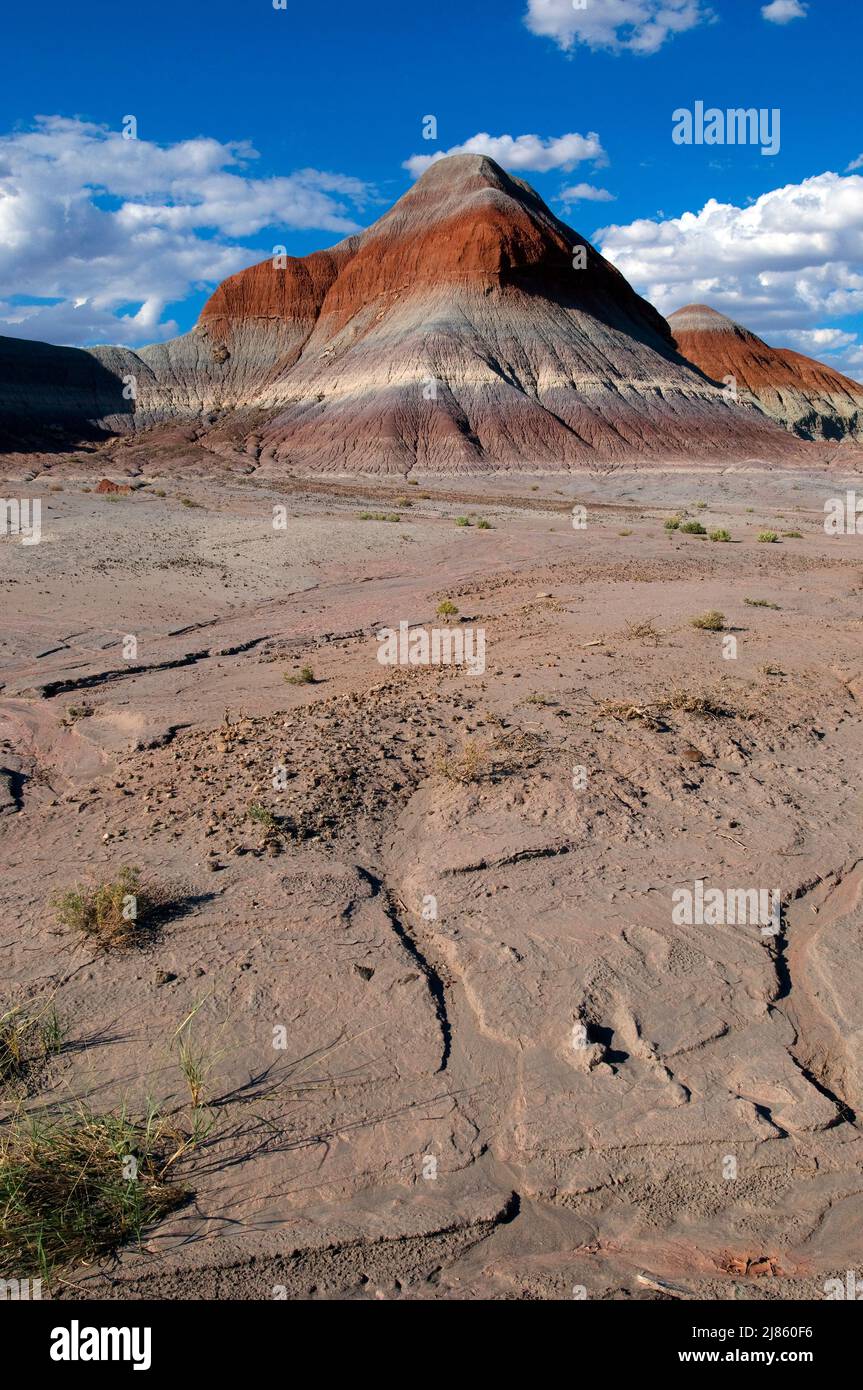 Tipi in Badlands landscape Petrified Forest NP Arizona USA Stock Photo ...