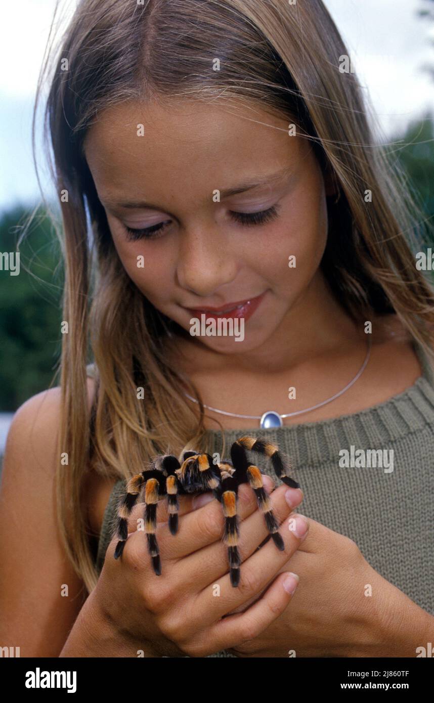 Young girl holding a tarantula in her hands Stock Photo - Alamy