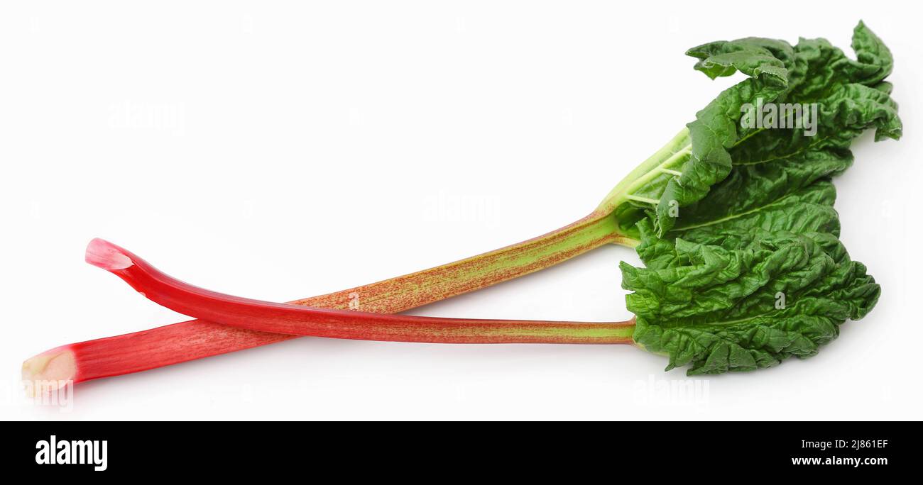 Fresh rhubarb stem and leaves over white background Stock Photo - Alamy