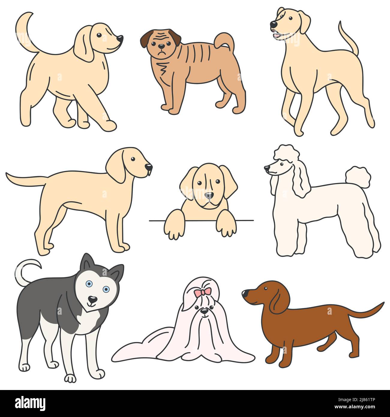 Set dog colored doodle style Stock Vector Image & Art - Alamy