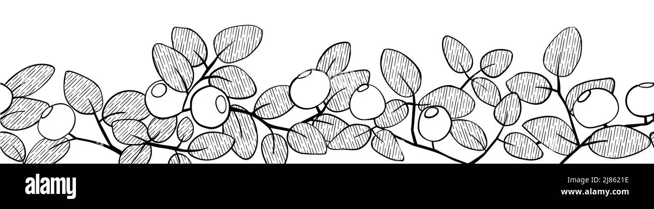 Blueberry branch border. Hand made seamless vector illustration Stock ...