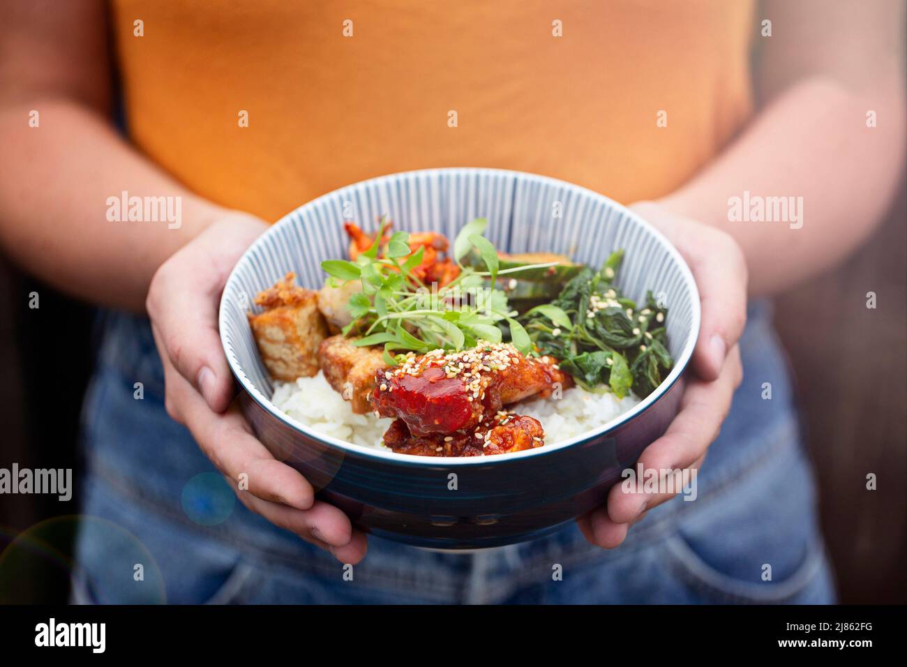 Female Hands holding a Bento Bowl Stock Photo - Alamy