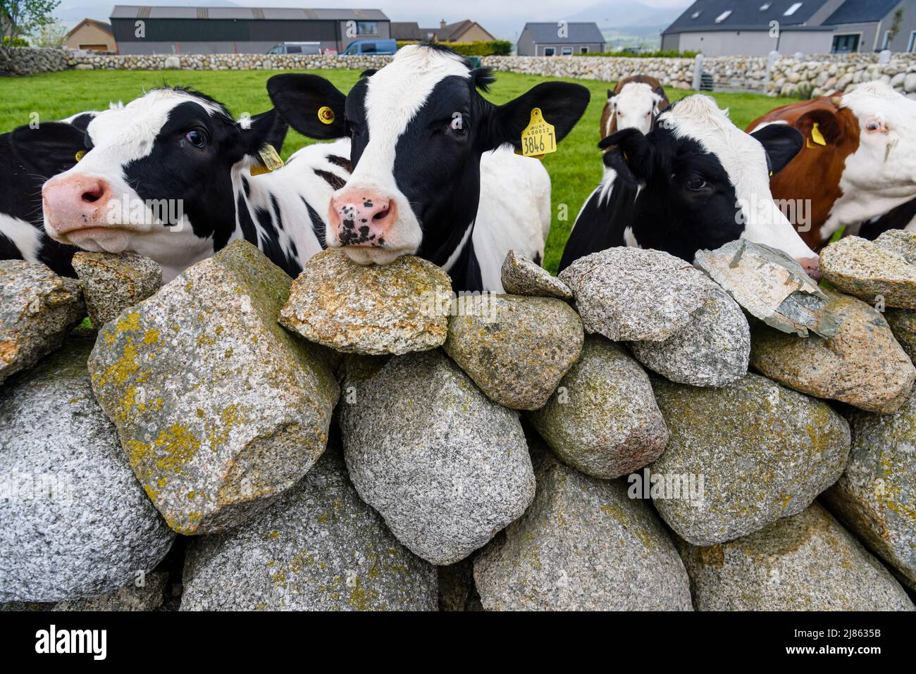 Rock face ireland hi-res stock photography and images - Alamy