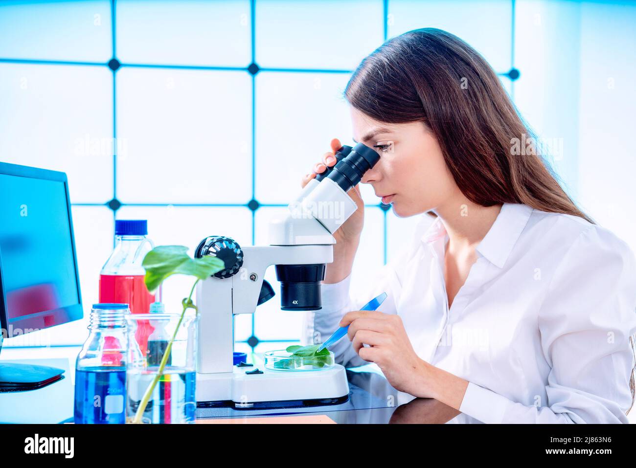 Laboratory of horticulture hi-res stock photography and images - Alamy