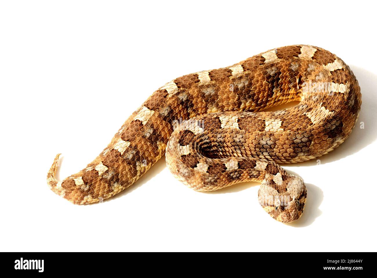 Full adder background hi-res stock photography and images - Alamy