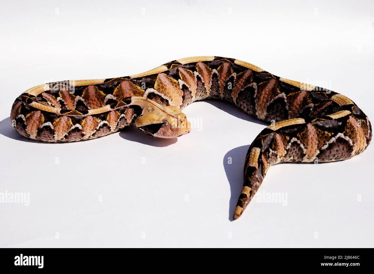 Full adder background hi-res stock photography and images - Alamy