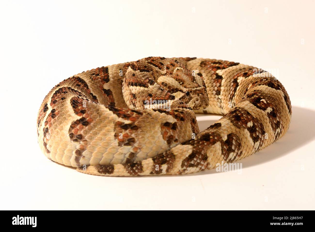 Full adder background hi-res stock photography and images - Alamy