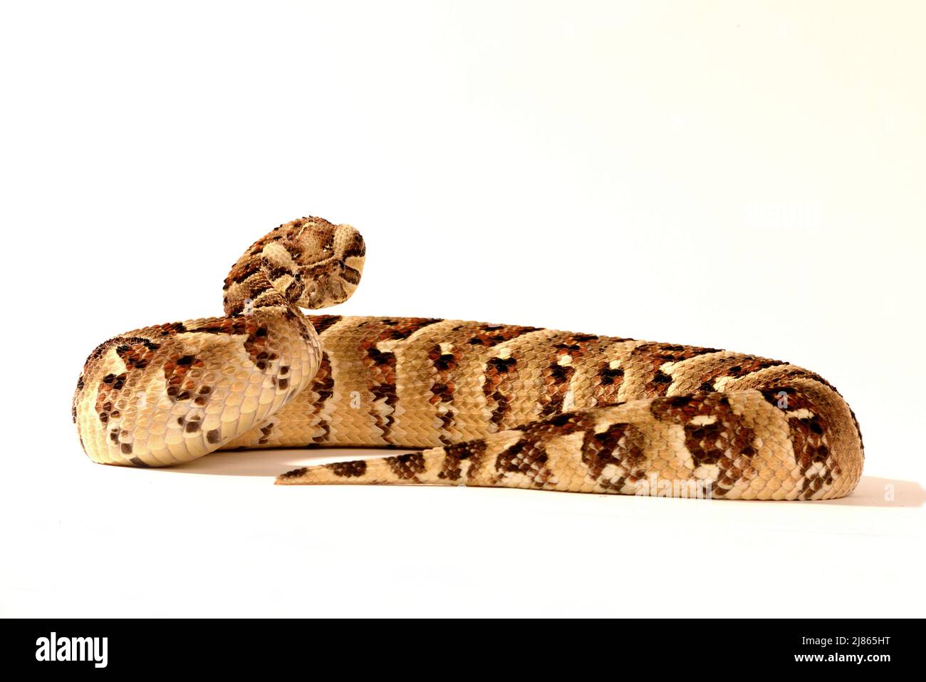 Full adder background hi-res stock photography and images - Alamy