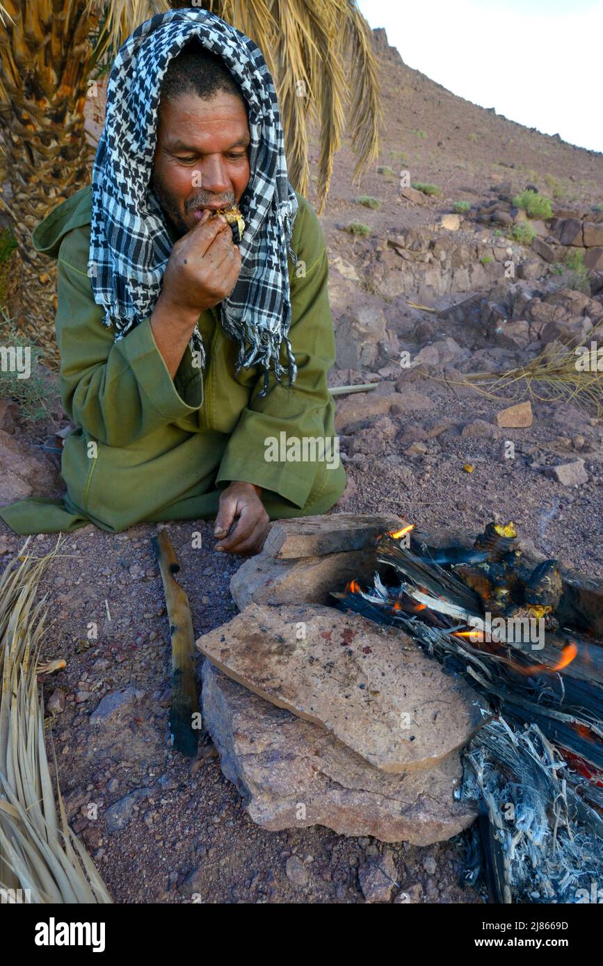 Man eating a Moroccan Spiny-tailed Lizard-Morocco Stock Photo - Alamy