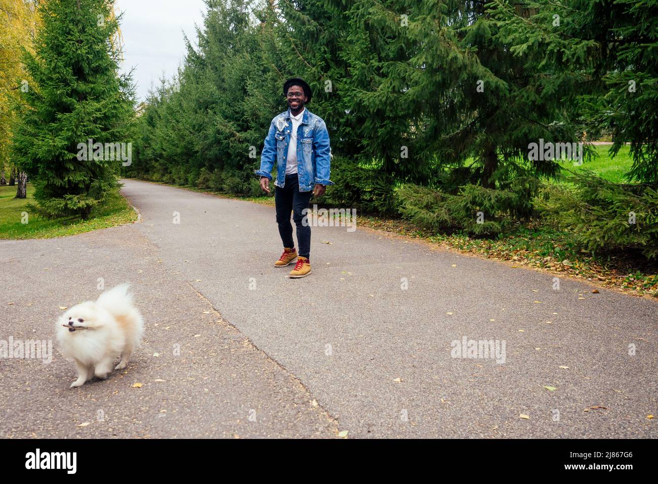 african american man walking in street with his fluffy spitz,teaching ...