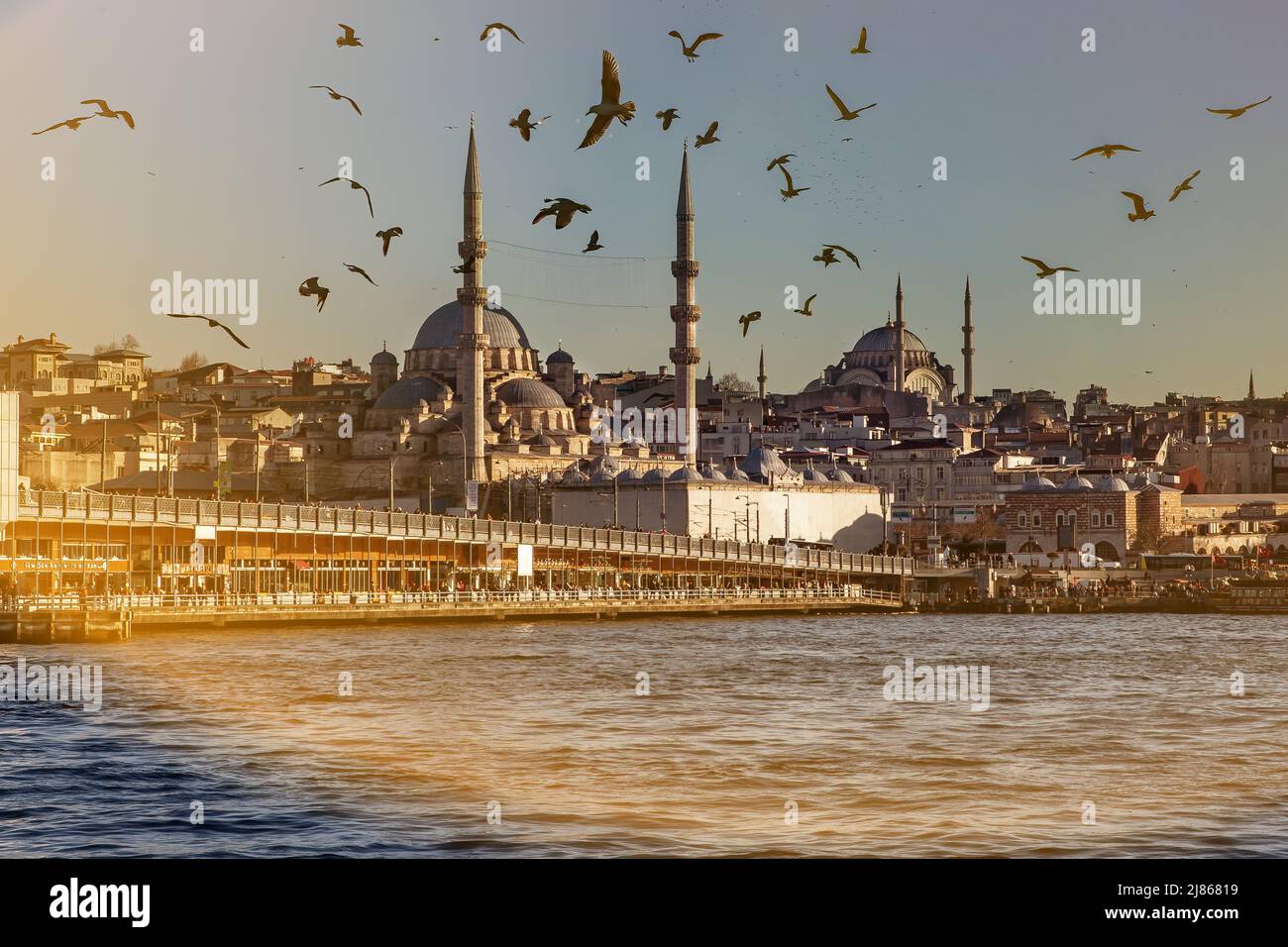 Istanbul landscape with bridges, ferries, mosques and birds in sunset ...