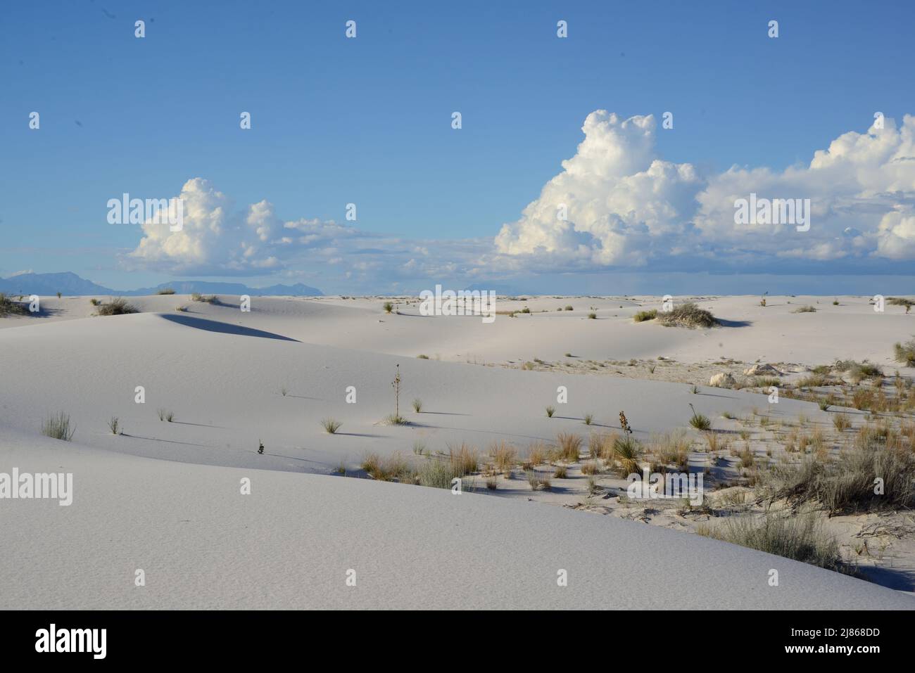 Gypsum desert - White Sands NP New Mexico USA Stock Photo - Alamy