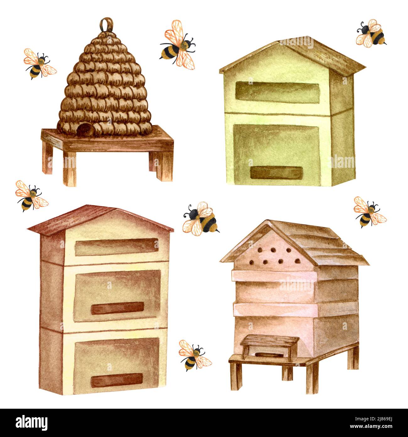 Handpainted beehives. Watercolor bee houses and honeybees set isolated ...
