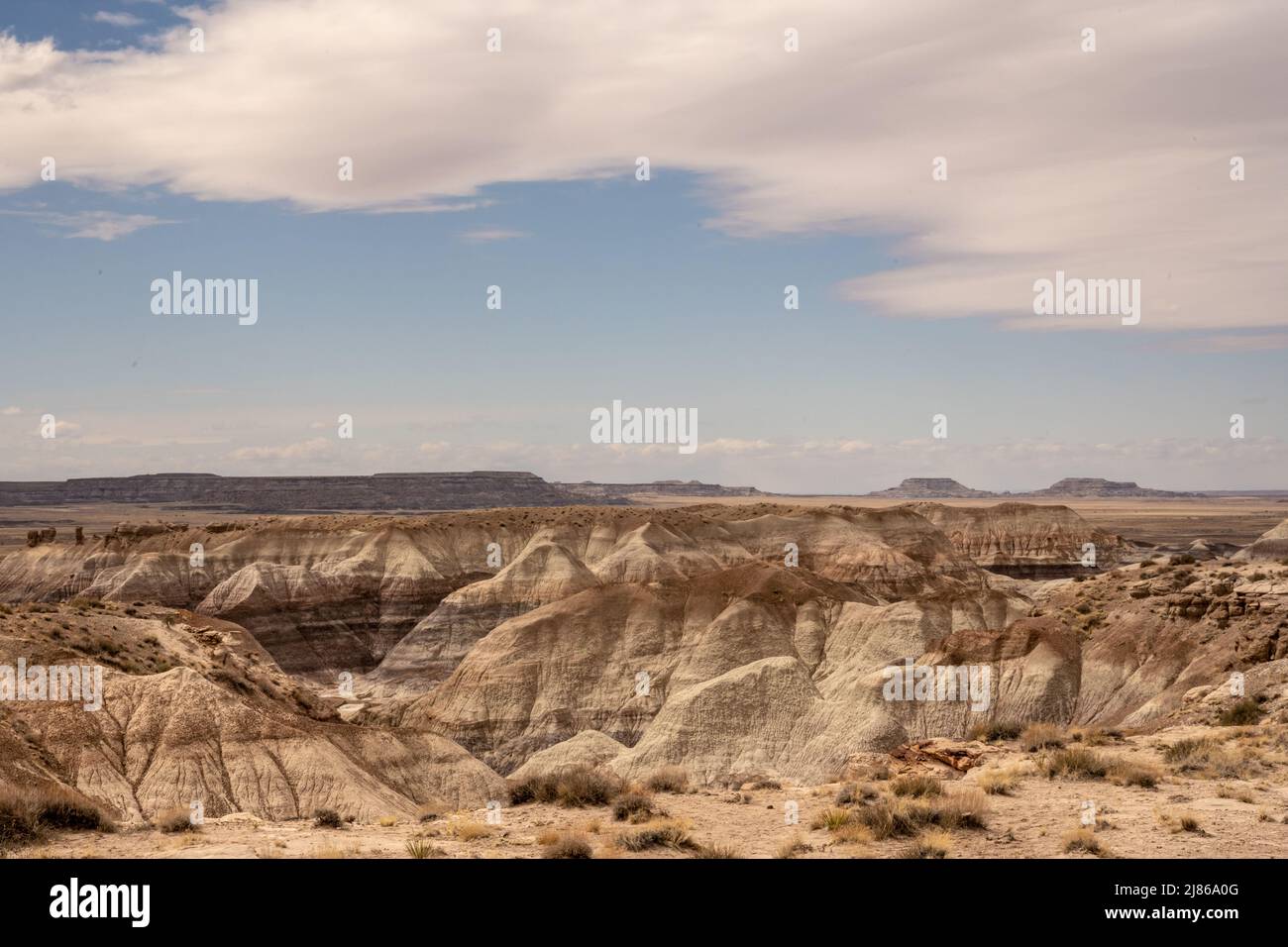 Blue Mesa Badlands And The Canyon Through Them in Petrified Forest ...