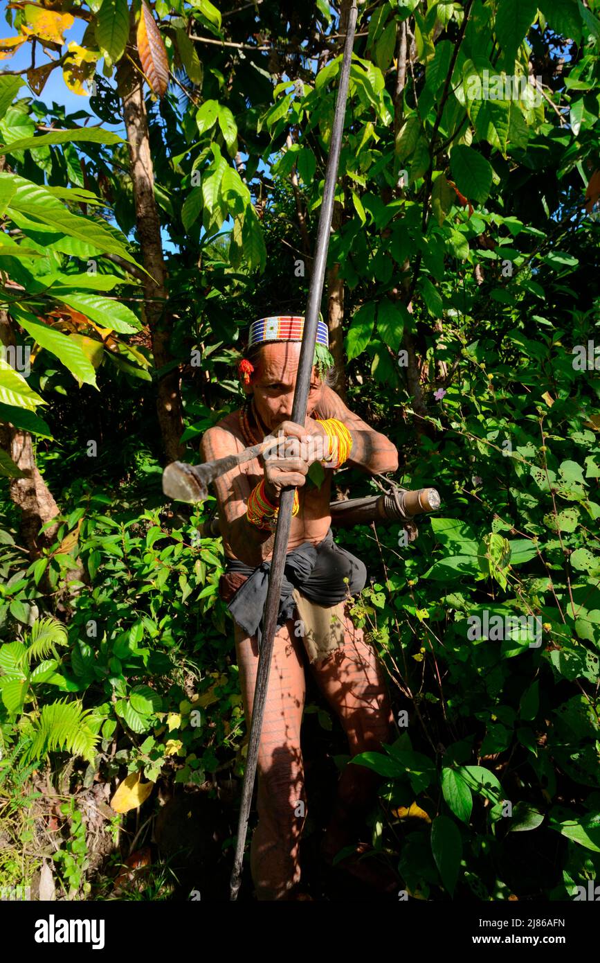 Siberut national park hi-res stock photography and images - Alamy