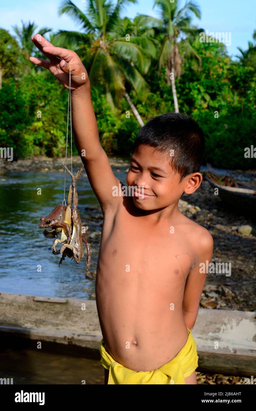 Mentawai boy with catching frogs, Siberut, Mentawai, Indonesia Stock ...