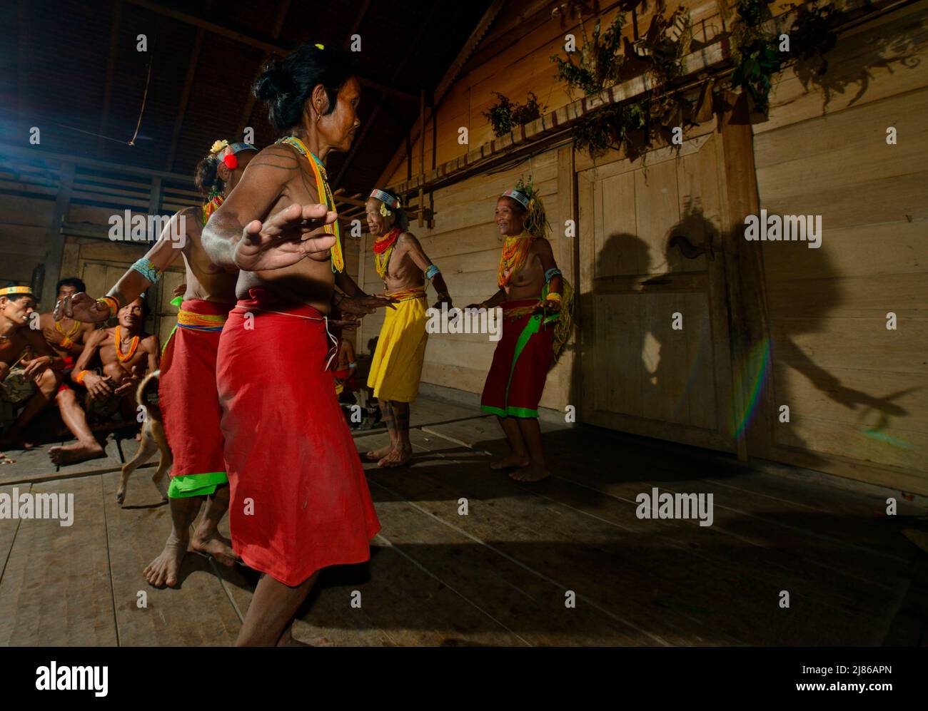 Mentawei hi-res stock photography and images - Alamy